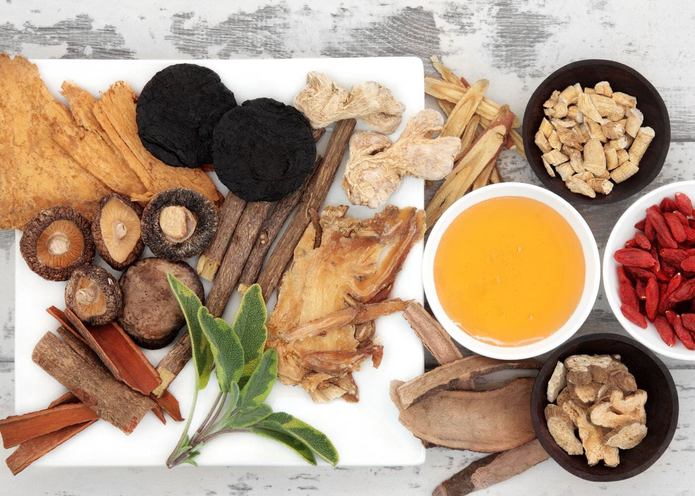 Medicinal Musrooms for Immune Health | Niyama Wellness